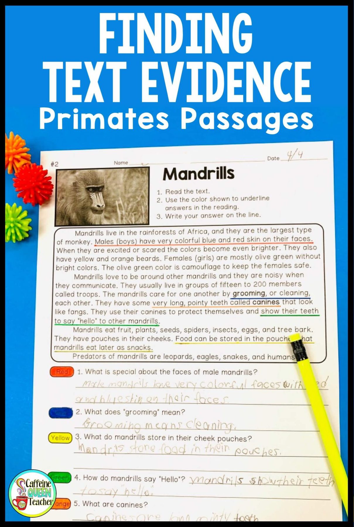 How to Teach Students to Find Text Evidence - Caffeine Queen Teacher